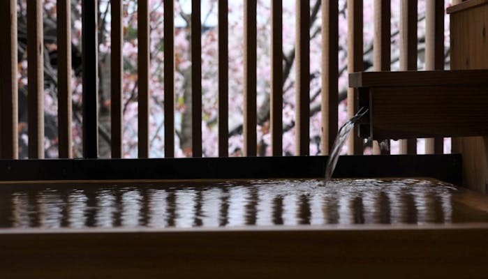 満開の桜を独り占め！お部屋から桜が見える宿 東日本編 一休コンシェルジュ