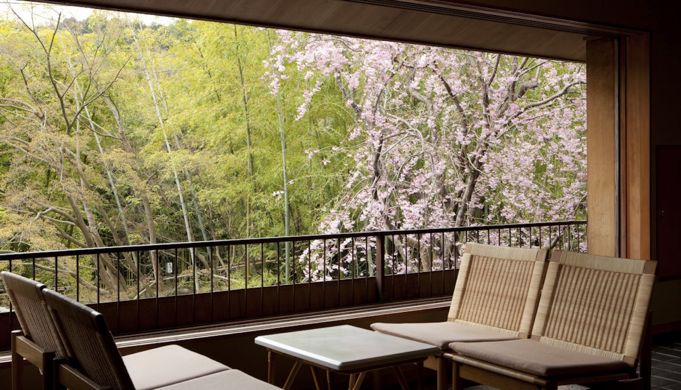 満開の桜を独り占め！お部屋から桜が見える宿 東日本編 一休コンシェルジュ