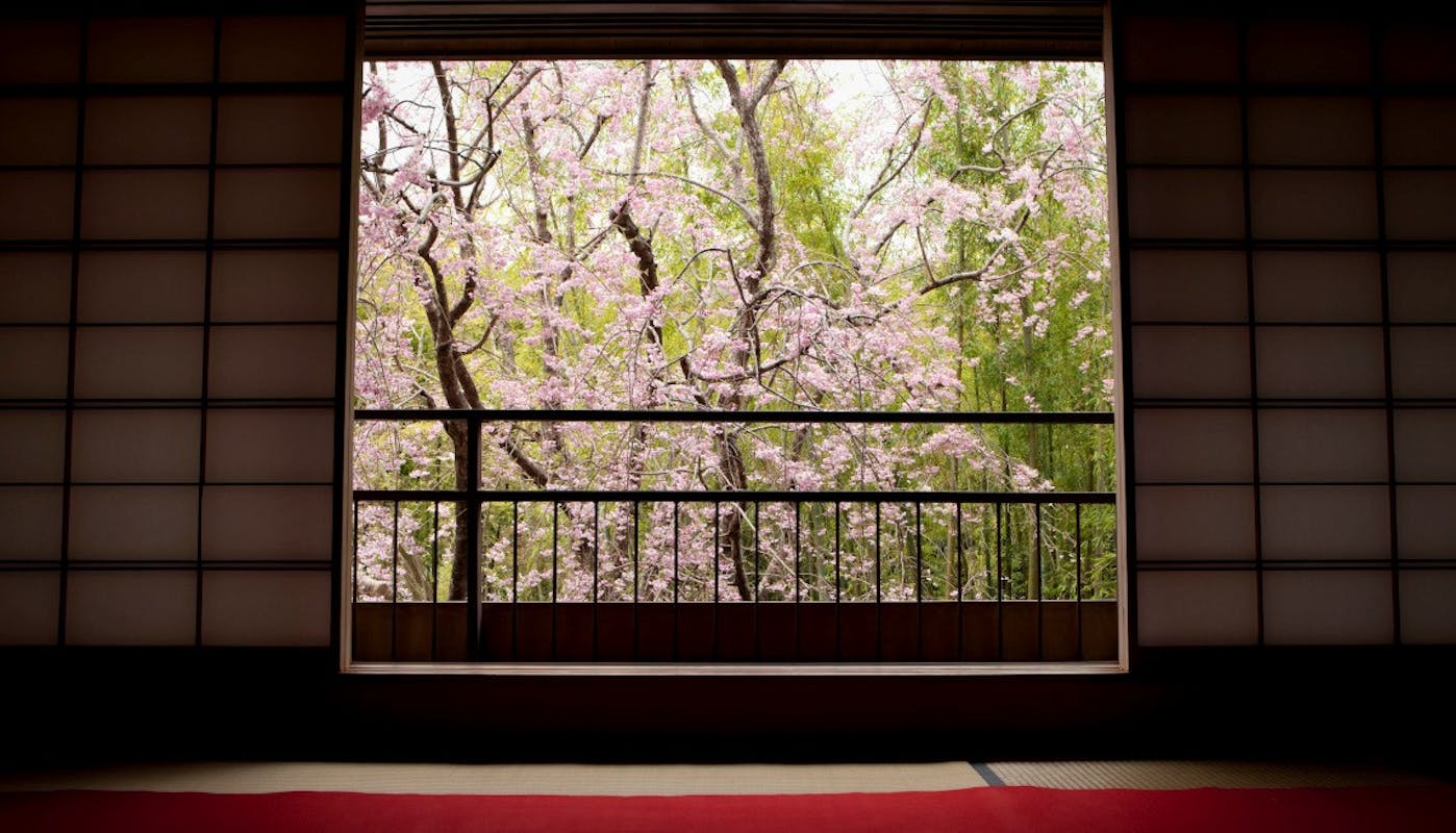 満開の桜を独り占め！お部屋から桜が見える宿 東日本編 一休コンシェルジュ