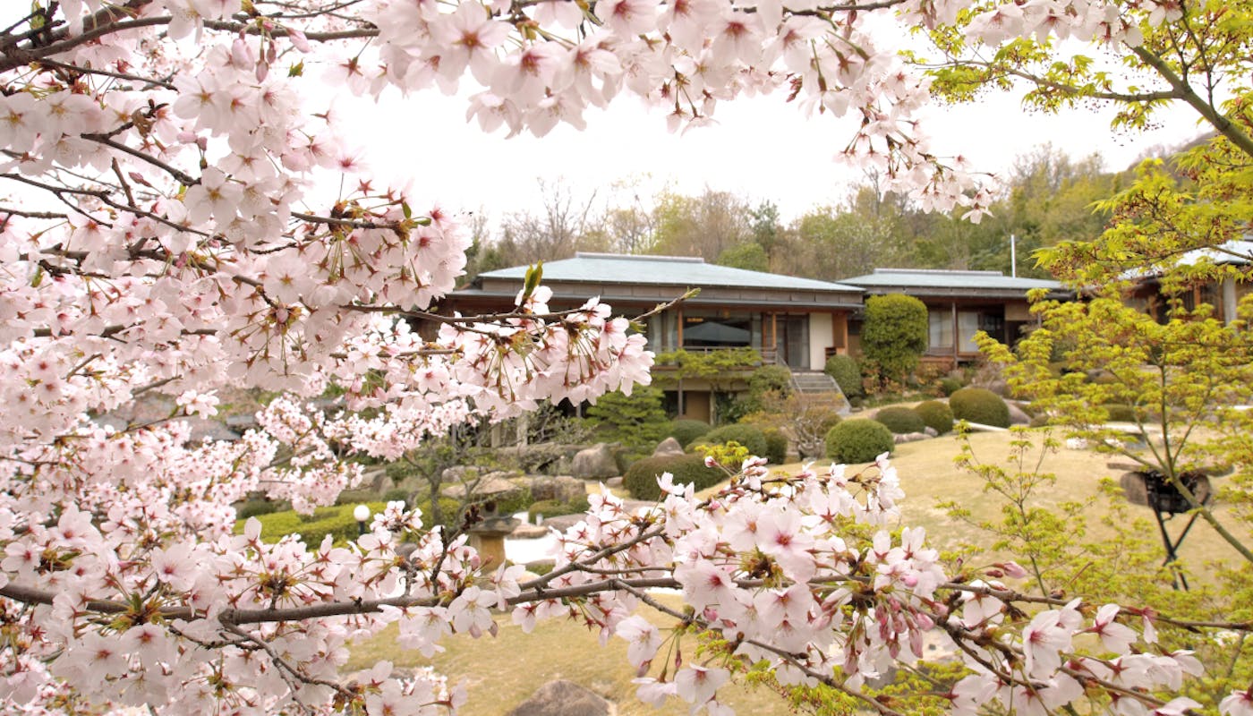 満開の桜を独り占め!お部屋から桜が見える宿 西日本編 一休コンシェルジュ