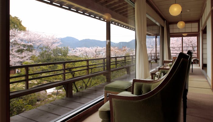 満開の桜を独り占め!お部屋から桜が見える宿 西日本編 一休コンシェルジュ