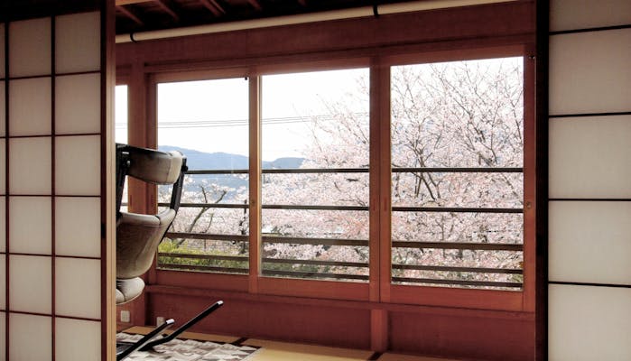 満開の桜を独り占め！お部屋から桜が見える宿 西日本編 一休コンシェルジュ