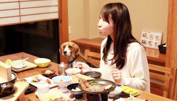 愛犬用のメニューも!ペットと一緒に食事ができるおすすめの宿 東日本編 一休コンシェルジュ